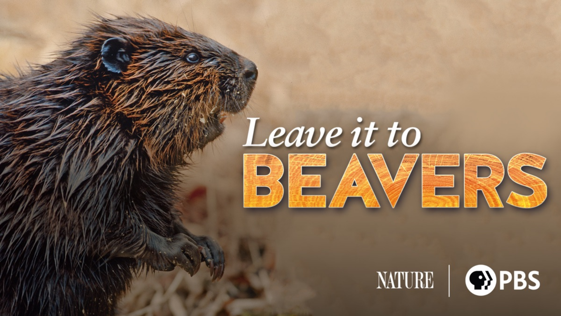 Film Series | Leave it to Beavers | Nicollet County Historical Society